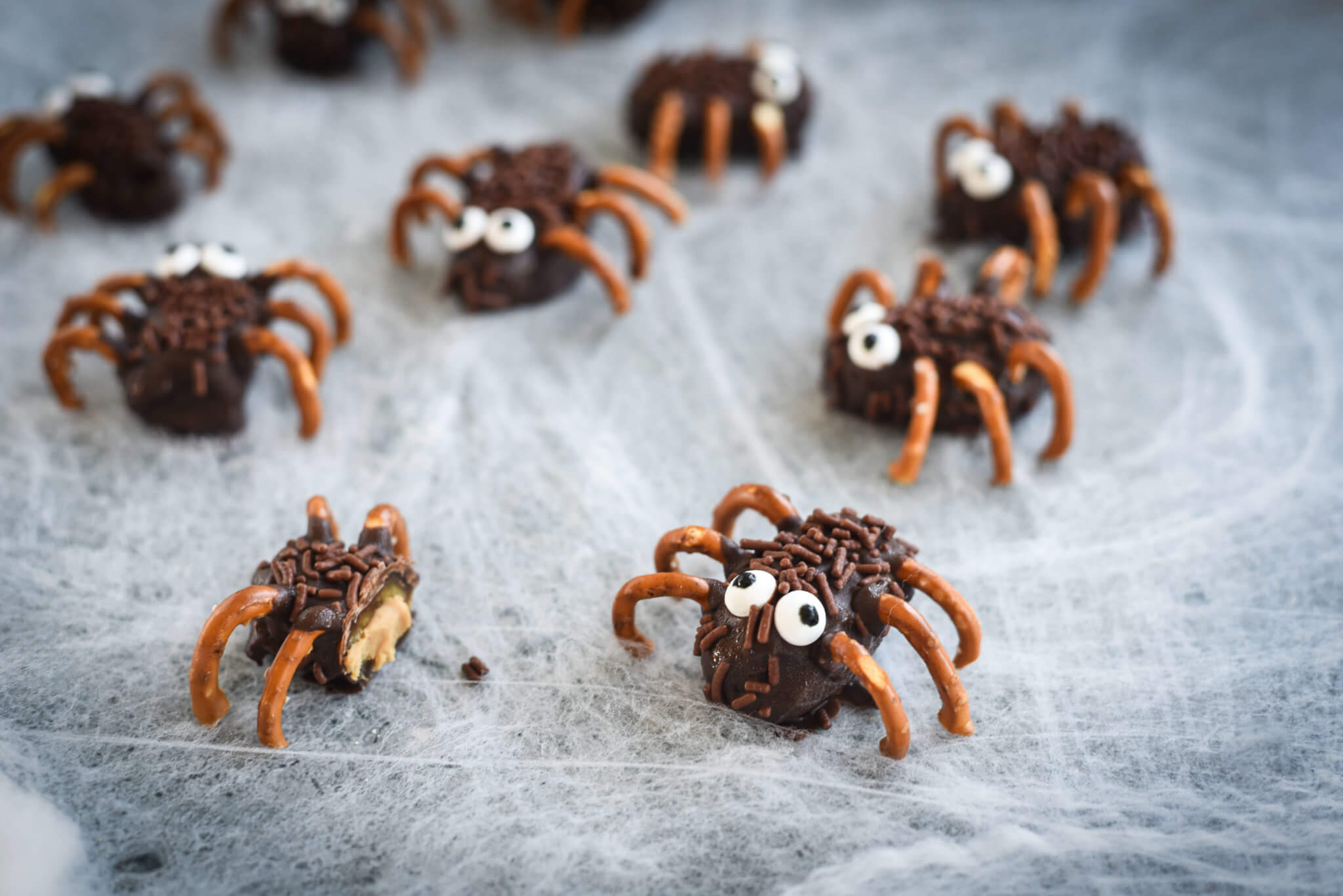 Creepy Crawly Date Spiders - Rancho Meladuco Date Farm