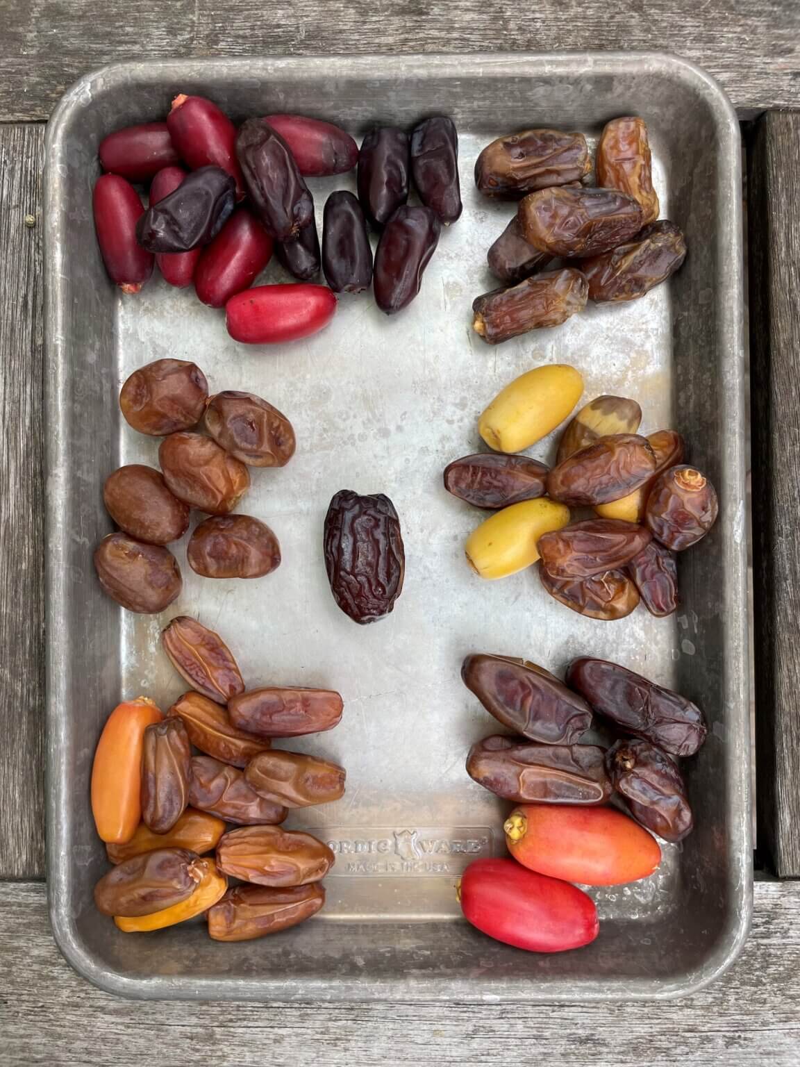 New! The Heirloom Variety Box - Rare and Unusual Dates - Rancho ...