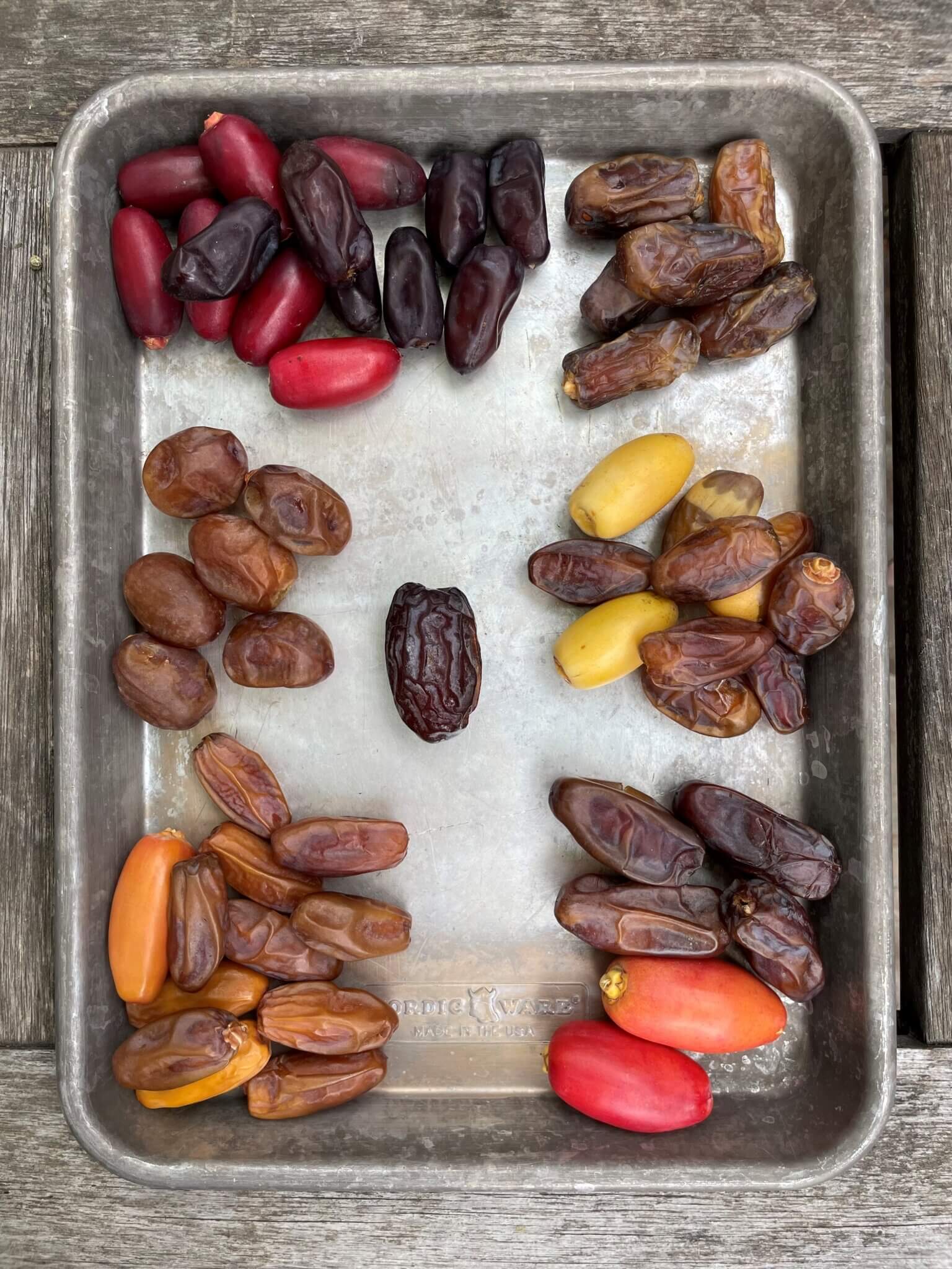 New! The Heirloom Variety Box - Rare and Unusual Dates - Rancho ...